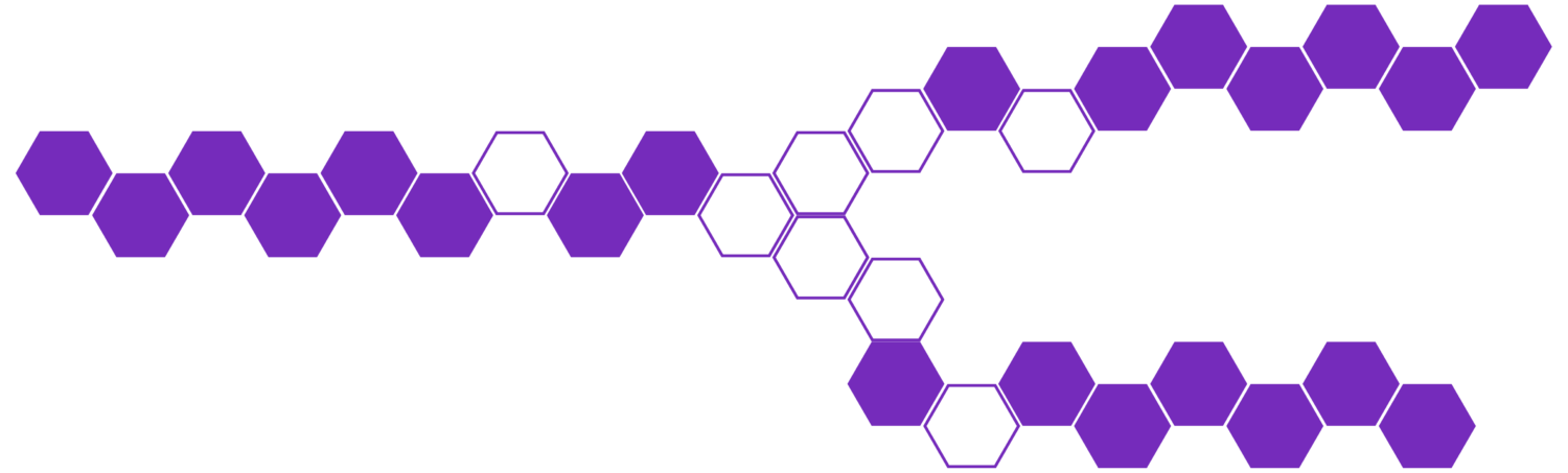 Bioresorbable Polymers for Implantable Medical Devices - Poly-Med